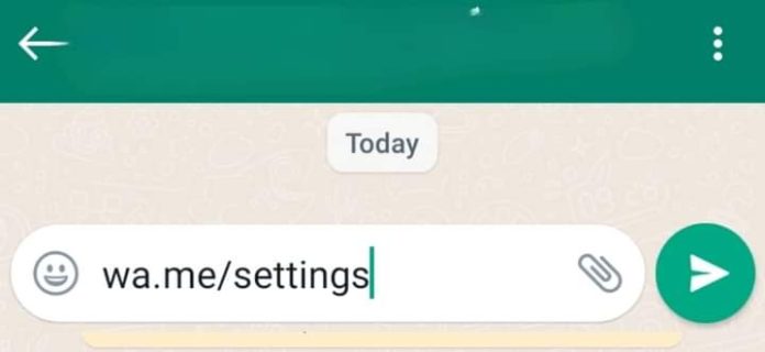 Apa Itu Wa.me/settings Bisa Buat WhatsApp Crash?